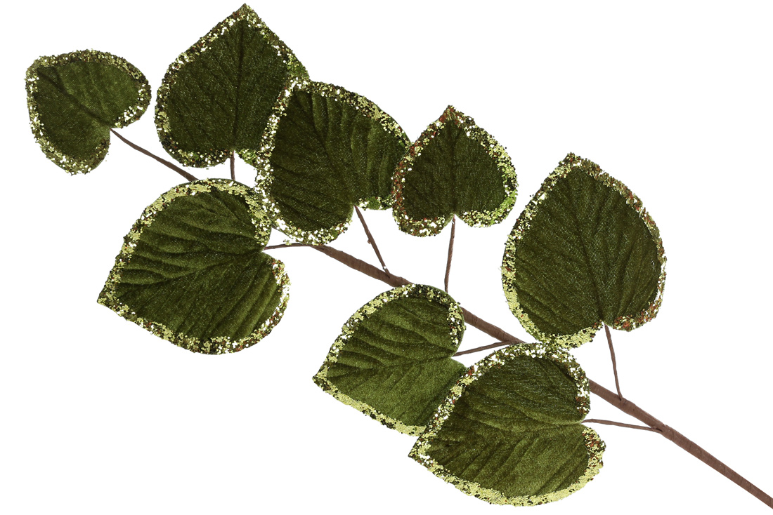 Бархатные Листья Фото — Фото